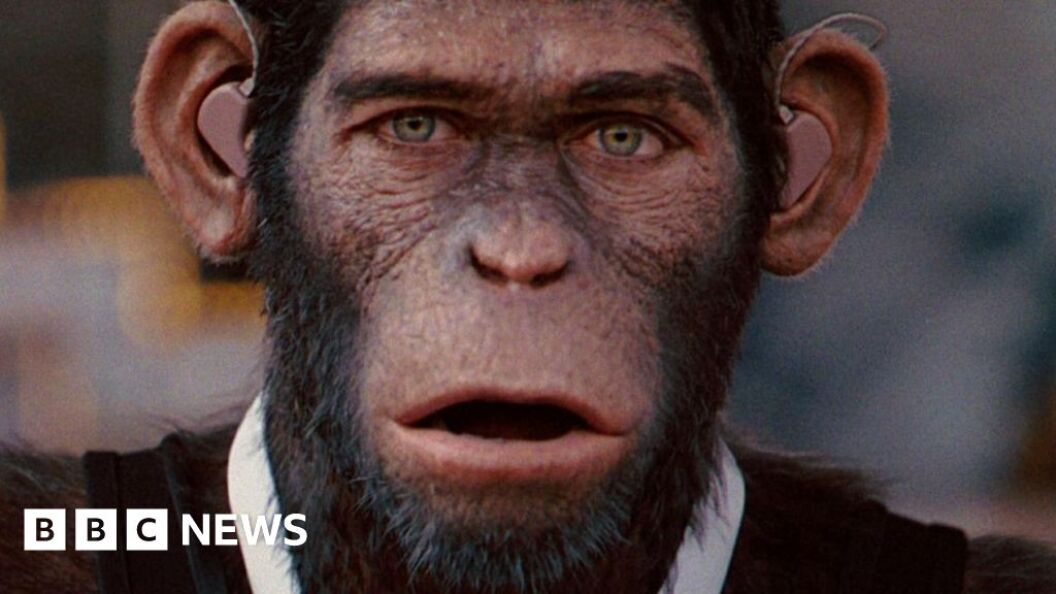 SEPE - Robbie Williams explains why he's a monkey in his new movie