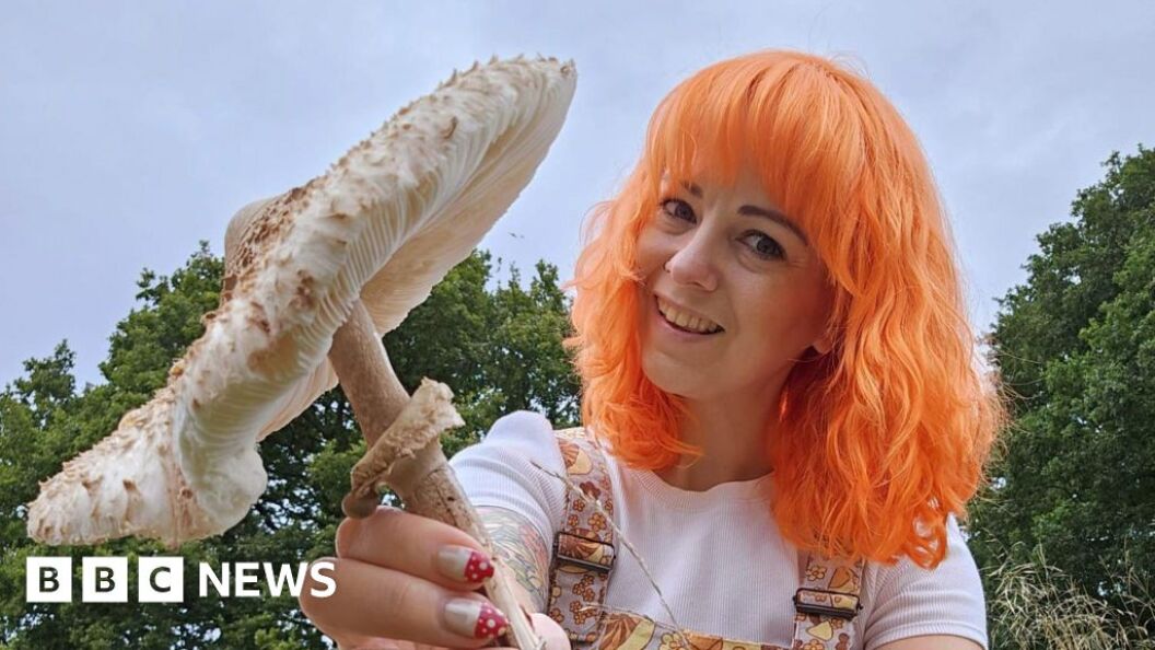 SEPE - Leicestershire officer guilty of misconduct over mushroom ...